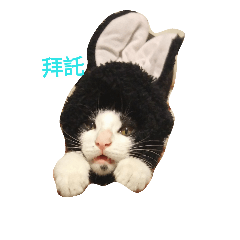 oh hi yo Maru - LINE スタンプ | LINE STORE