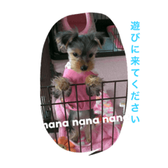 nana-chan.(2) – LINE stickers | LINE STORE