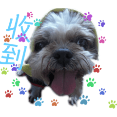 Jin Jin Lun_20210920142007 – LINE stickers | LINE STORE