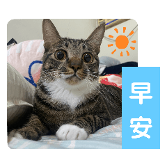 Chi_20210920191659 – LINE stickers | LINE STORE