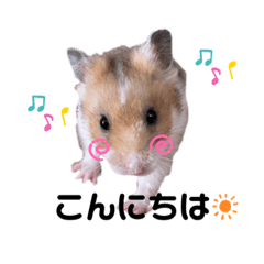 erikan_20210918223325 – LINE stickers | LINE STORE