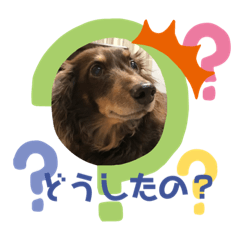 fuu_20210924085702 - Stiker LINE | LINE STORE