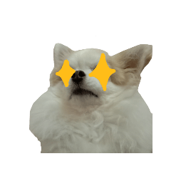 Kamune-chan_20211001182002 – LINE stickers | LINE STORE
