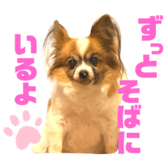 Rina_1126 – LINE stickers | LINE STORE