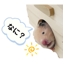 Tomoko_san_20211004002630 – LINE stickers | LINE STORE