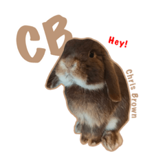 YRCB_20211003114831 – LINE stickers | LINE STORE