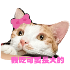 Shu_20211006194136 – LINE stickers | LINE STORE