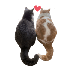 dodolala happy life – LINE stickers | LINE STORE