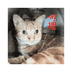Ponkan is a cat_20211008173606 – LINE stickers | LINE STORE