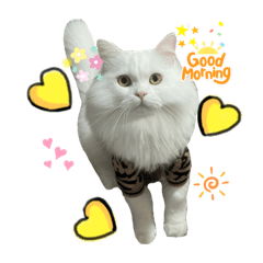 Haru&hochi_20211009225815 - Stiker LINE | LINE STORE