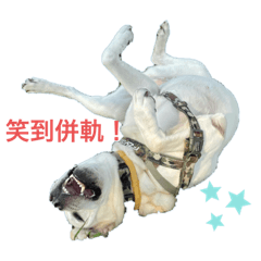 La La Fun World #1 – LINE貼圖 | LINE STORE