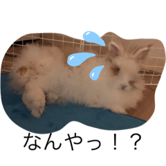 VENCE_20211010182034 – LINE stickers | LINE STORE