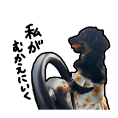 UNAGI_20211010203852 – LINE stickers | LINE STORE