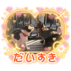 namirin_20211011095125 - Stiker LINE | LINE STORE