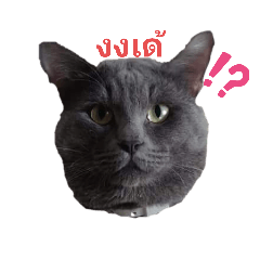 Rakdao Jung_20211013020945 - LINE スタンプ | LINE STORE