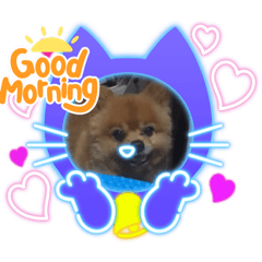 Hi hello Yiyi hl | Yabe-LINE貼圖代購 | 台灣No.1，最便宜高效率的代購網