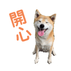 Sam Fang_20211015225005 – LINE stickers | LINE STORE