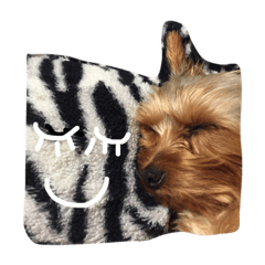 Hello jee - Stiker LINE | LINE STORE