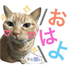 Ui-chan stamp – LINE stickers | LINE STORE