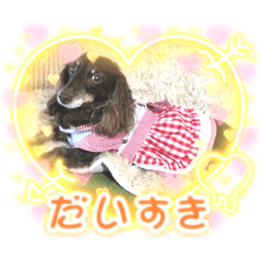 asu_usa_20211024003931 – LINE stickers | LINE STORE