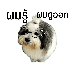 Baby Goji | Gaogi & his besties - Stiker LINE | LINE STORE