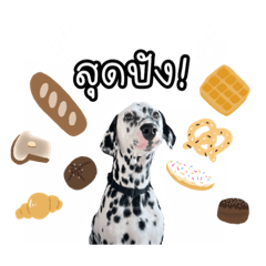 Pon pongo – LINE stickers | LINE STORE