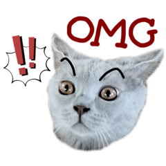 Garrett the cat in daily life - LINE スタンプ | LINE STORE