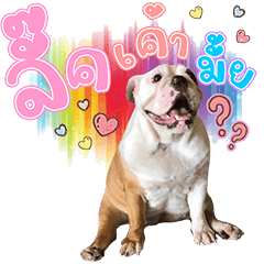 RoD thang 4....... – LINE stickers | LINE STORE