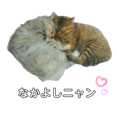 @chi&ku – LINE stickers | LINE STORE