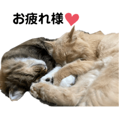 miyu_20211028104526 – LINE stickers | LINE STORE