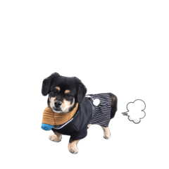 ono_20211028215613 – สติกเกอร์ LINE | LINE STORE