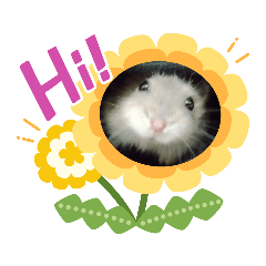 Susan_20211029090054 - Stiker LINE | LINE STORE