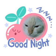 Qing Qing_20211028191936 – LINE stickers | LINE STORE