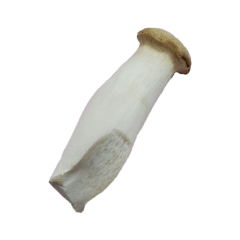 bitzer_20211029150047 - Stiker LINE | LINE STORE