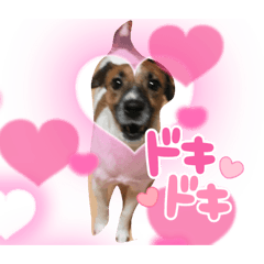 okamochi_20211029203729 – LINE stickers | LINE STORE