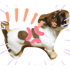 okamochi_20211031180651 – LINE stickers | LINE STORE