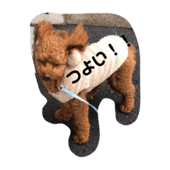 ponyu_20211103145423 – LINE貼圖 | LINE STORE