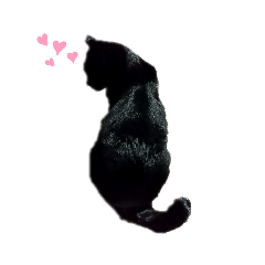 tama-nyan_20211104205619 - Stiker LINE | LINE STORE