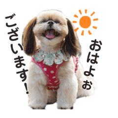 akarisu_20211106015653 – LINE貼圖 | LINE STORE