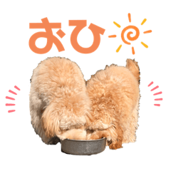 JJJ_20211105192418 – LINE stickers | LINE STORE