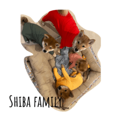 Shiba hachiko – LINE stickers | LINE STORE