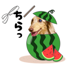 Yama_20211108024058 – LINE stickers | LINE STORE