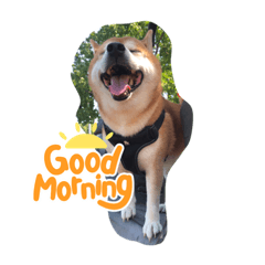 Sia_20211110190136 – LINE stickers | LINE STORE