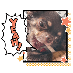 kumi_20211118102944 – LINE stickers | LINE STORE