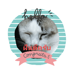 talk cat A – LINE stickers | LINE STORE