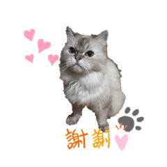 Yueh_20211122015033 – LINE stickers | LINE STORE