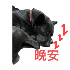 Su_20211123120847 - Stiker LINE | LINE STORE