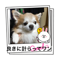EJIMA_20211123215155 – LINE stickers | LINE STORE