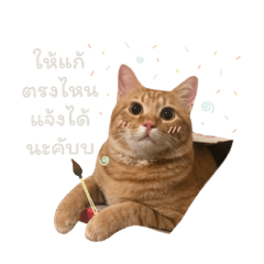 Bad friends_20211125174255 – LINE stickers | LINE STORE