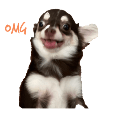 Baby mumu_20211126130504 – LINE stickers | LINE STORE
